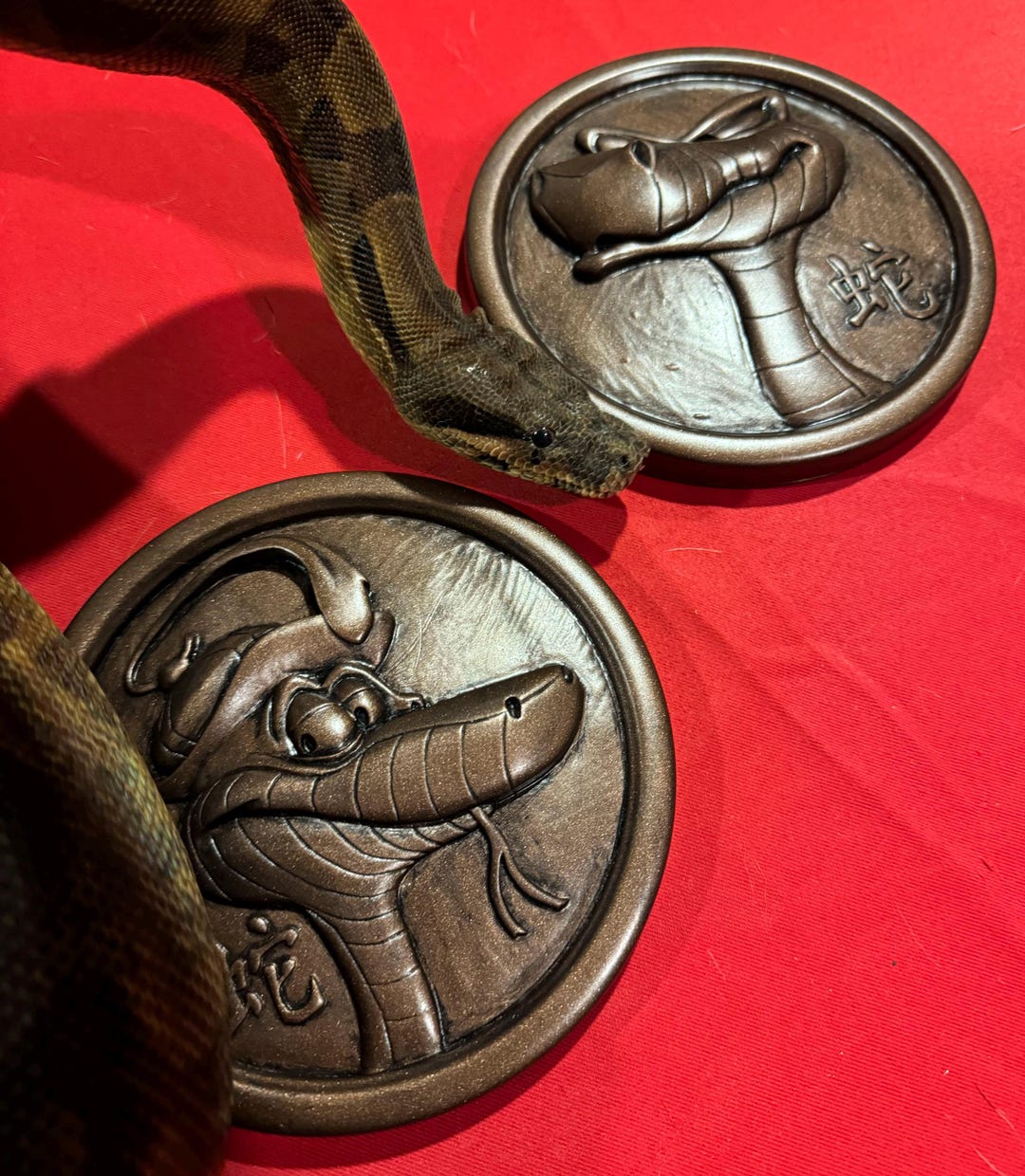 YEAR of the SNAKE Character Medallion - Etsy
