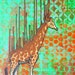 Dripping Giraffe - Etsy