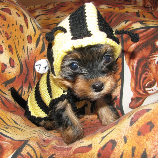 Boy Yorkie Clothes - Etsy