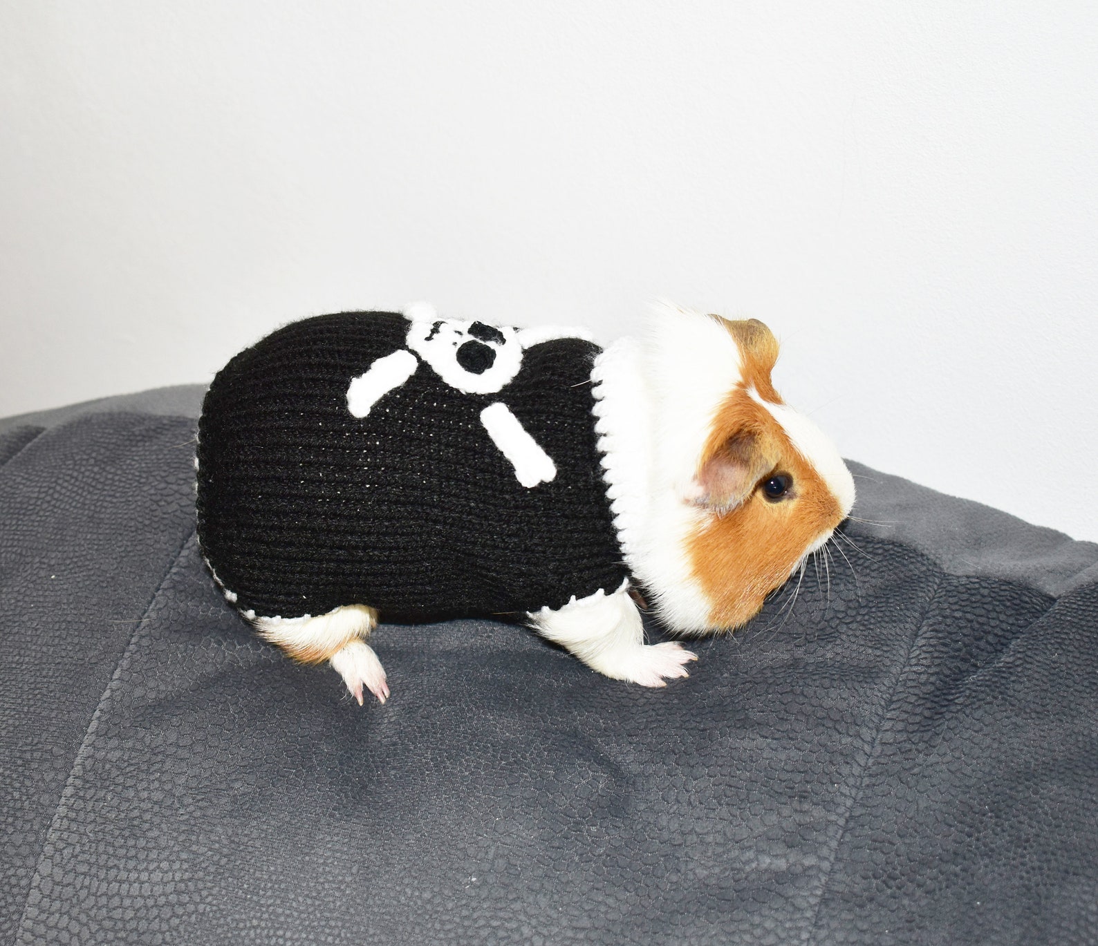 Guinea Pig Sweater Skull Guinea Pig Clothes Halloween - Etsy