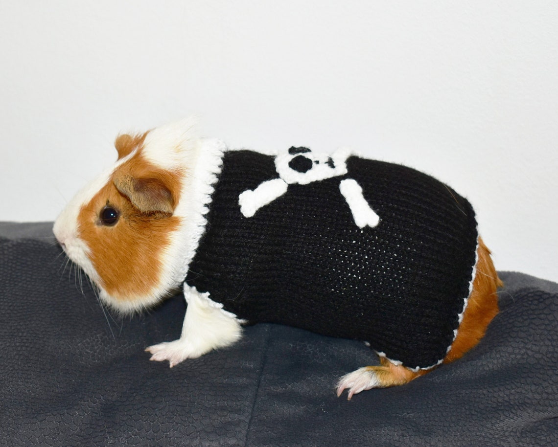 Guinea Pig Sweater Skull Guinea Pig Clothes Halloween - Etsy