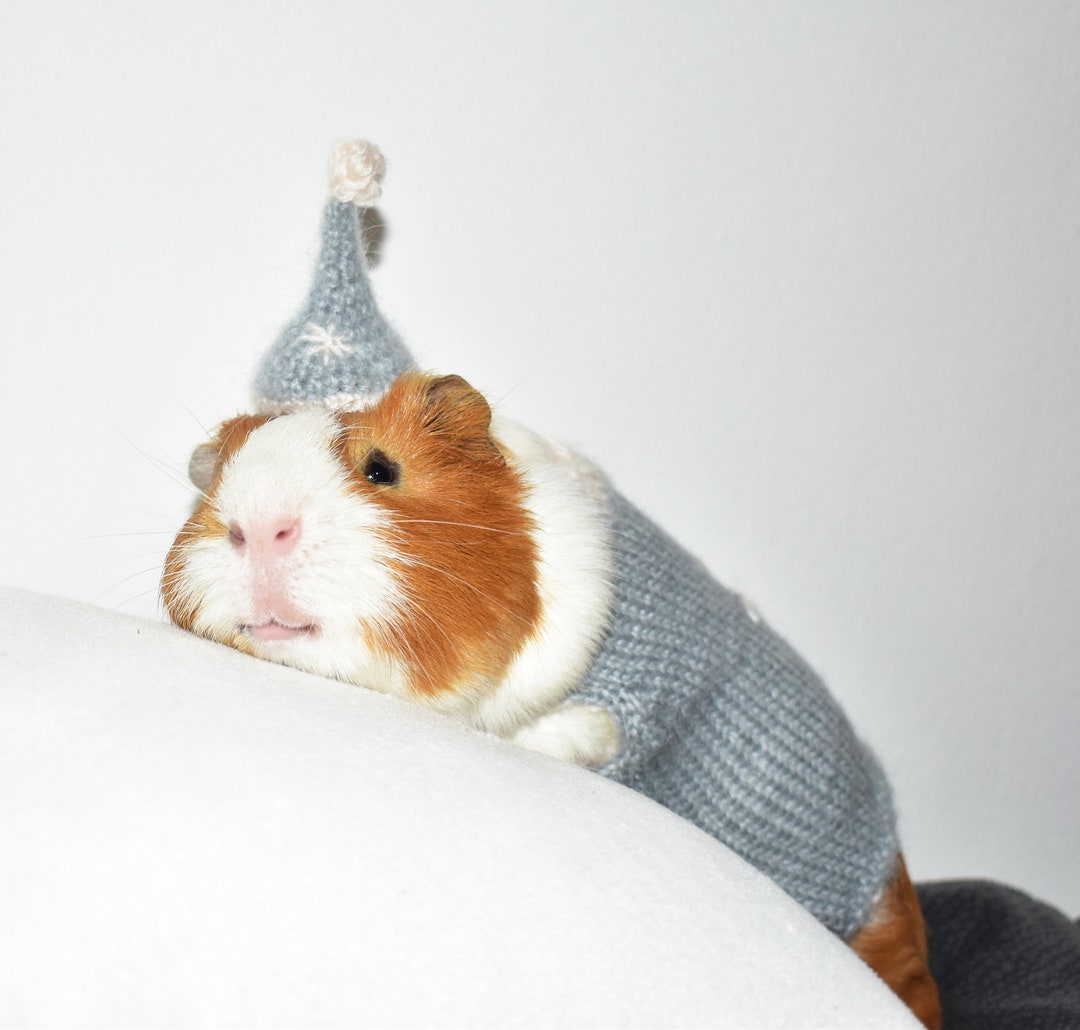 Guinea Pig Christmas Sweater GUINEA PIG Clothes and HAT Guinea Pig Costume - Guinea Pig ...