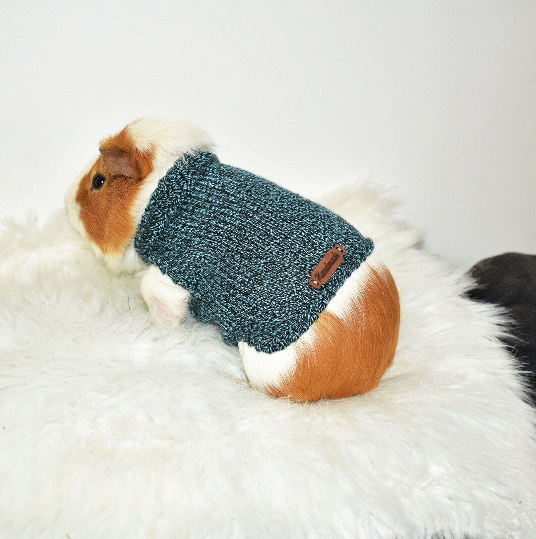 Guinea Pig Clothes Blue GUINEA PIG SWEATER - Guinea Pig Costume Guinea ...
