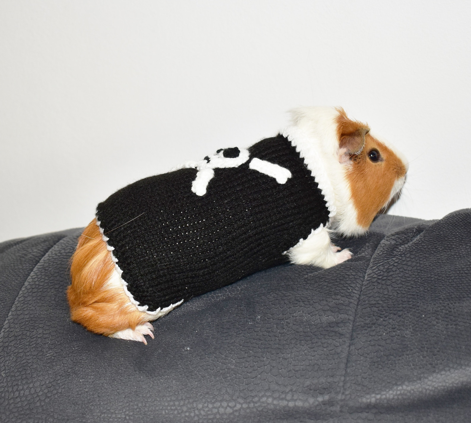 Guinea Pig Sweater Skull Guinea Pig Clothes Halloween - Etsy