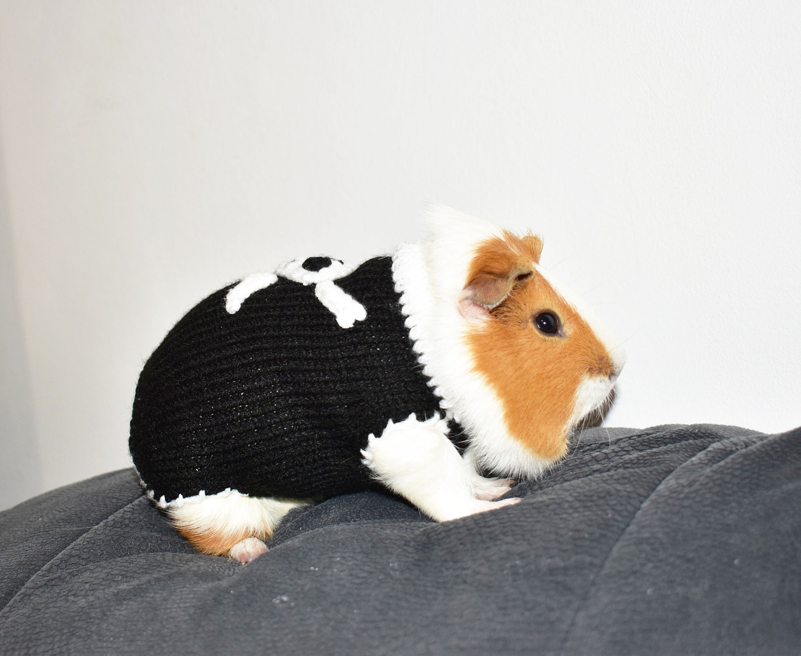 Guinea Pig Sweater Skull Guinea Pig Clothes Halloween - Etsy