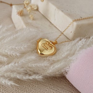 Odette Swan Locket Necklace, Swan Lake Inspired Princess Odette Locket ...