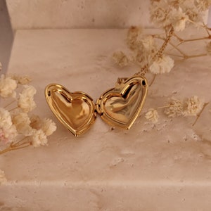 Swan Locket Necklace, Princesscore Heart Locket Necklace, Personalized ...