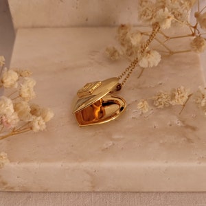 Swan Locket Necklace, Princesscore Heart Locket Necklace, Personalized ...