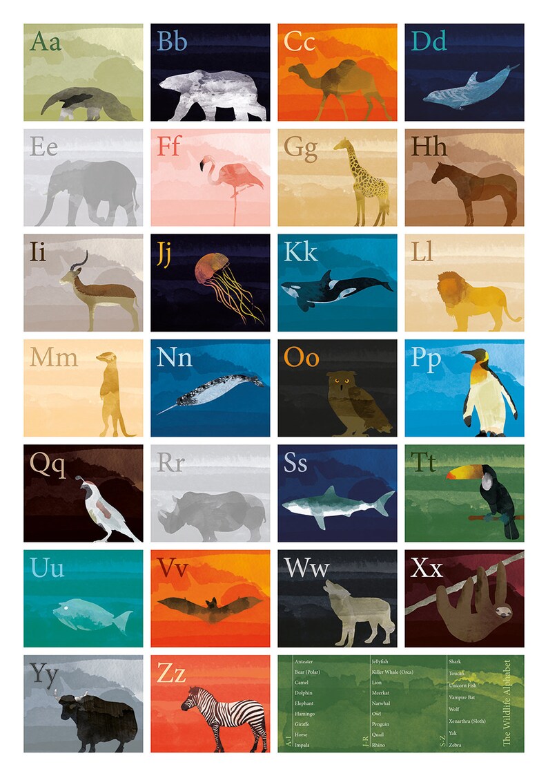 The Wildlife Alphabet Poster Nursery Print Educational Art - Etsy UK