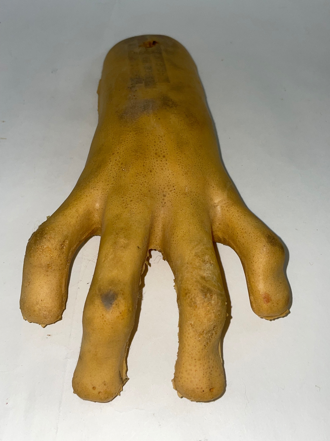 Foam Hand Replica Alien Animal Foot Taxidermy Form Art Sculpture Four ...