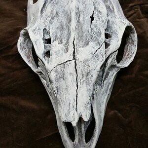 Deer Skull Mask - Bone Mask- Made to Order - Etsy