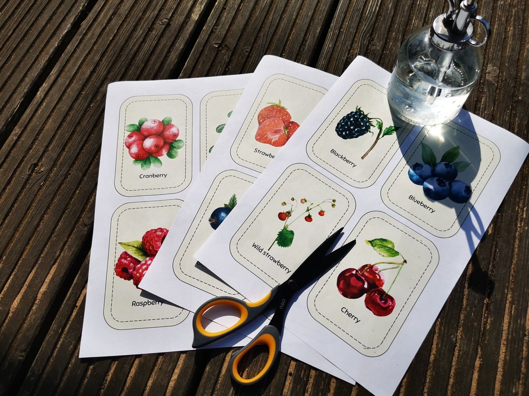 Printable Berry Flash Cards for Kids - Educational PDF With 12 ...