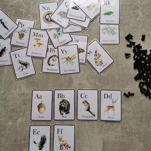 Forest Alphabet Flashcards for Kids | Printable PDF With Forest Animals ...
