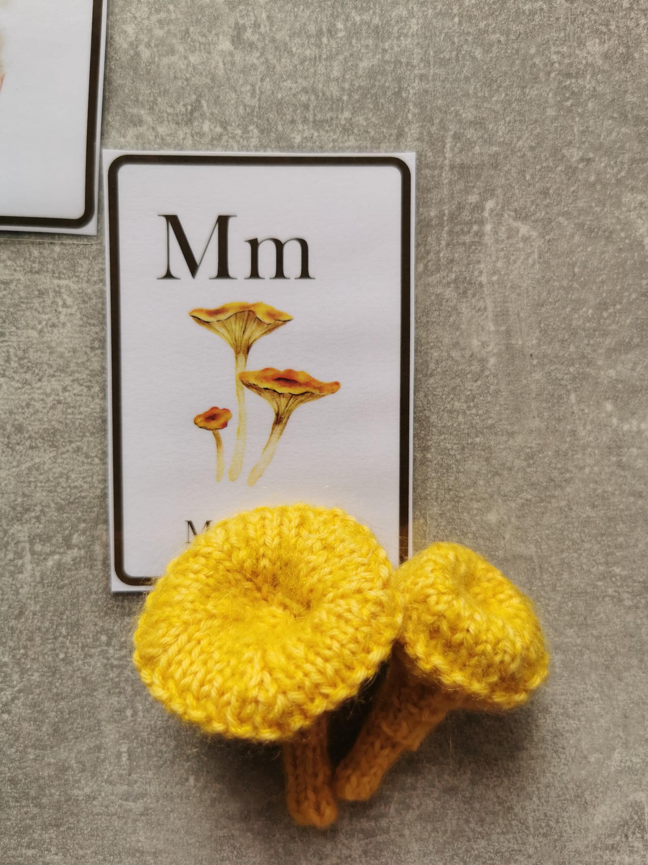 Educational Alphabet Flashcards – Forest-themed With Real Letters for ...