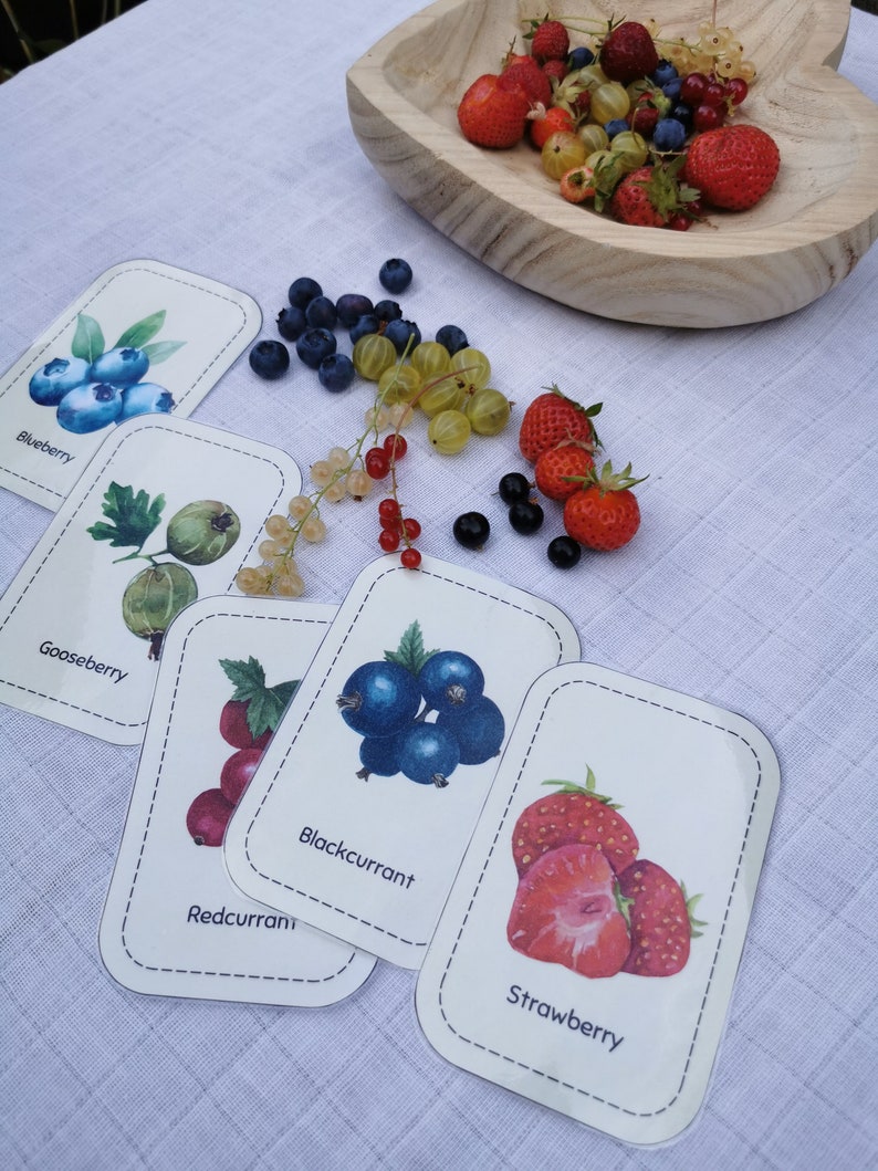 Printable Berry Flash Cards for Kids Educational PDF With 12 Different ...