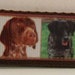 German Shorthaired Pointer Dog Collar GSP Dog Collar German - Etsy