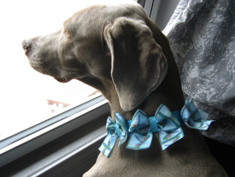 Dragonflies-beautiful & Classy Dragonfly Ribbon Dog - Etsy