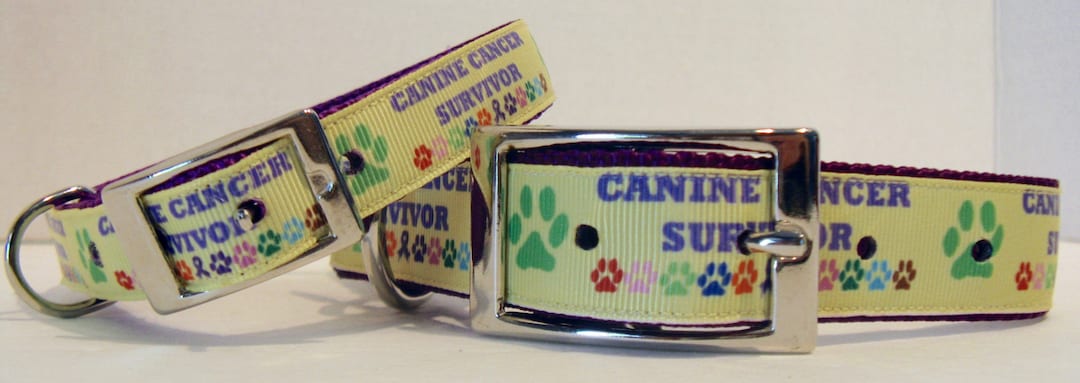 Canine Cancer Survivor Ribbon Dog Collar-canine Cancer Awarenessalso ...