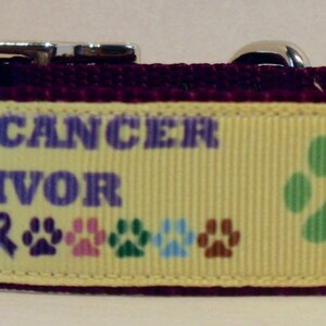 Canine Cancer Survivor Ribbon Dog Collar-canine Cancer Awarenessalso ...