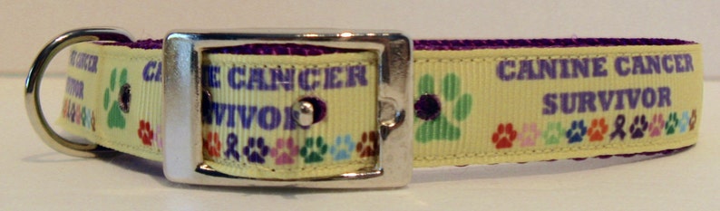Canine Cancer Survivor Ribbon Dog Collar-Canine Cancer | Etsy