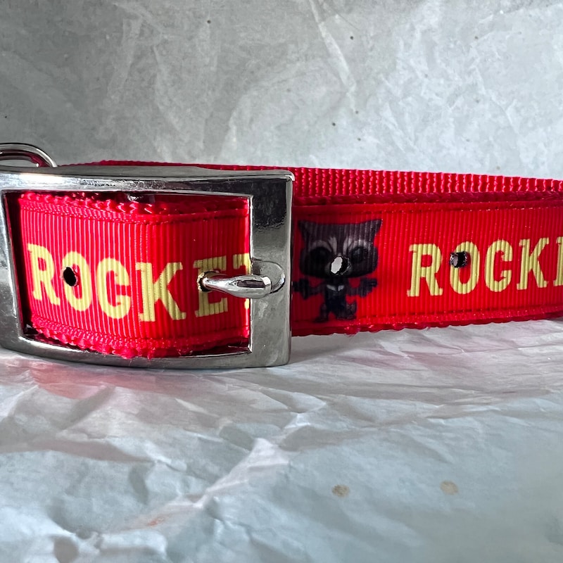 Raccoon Dog Collars - Etsy