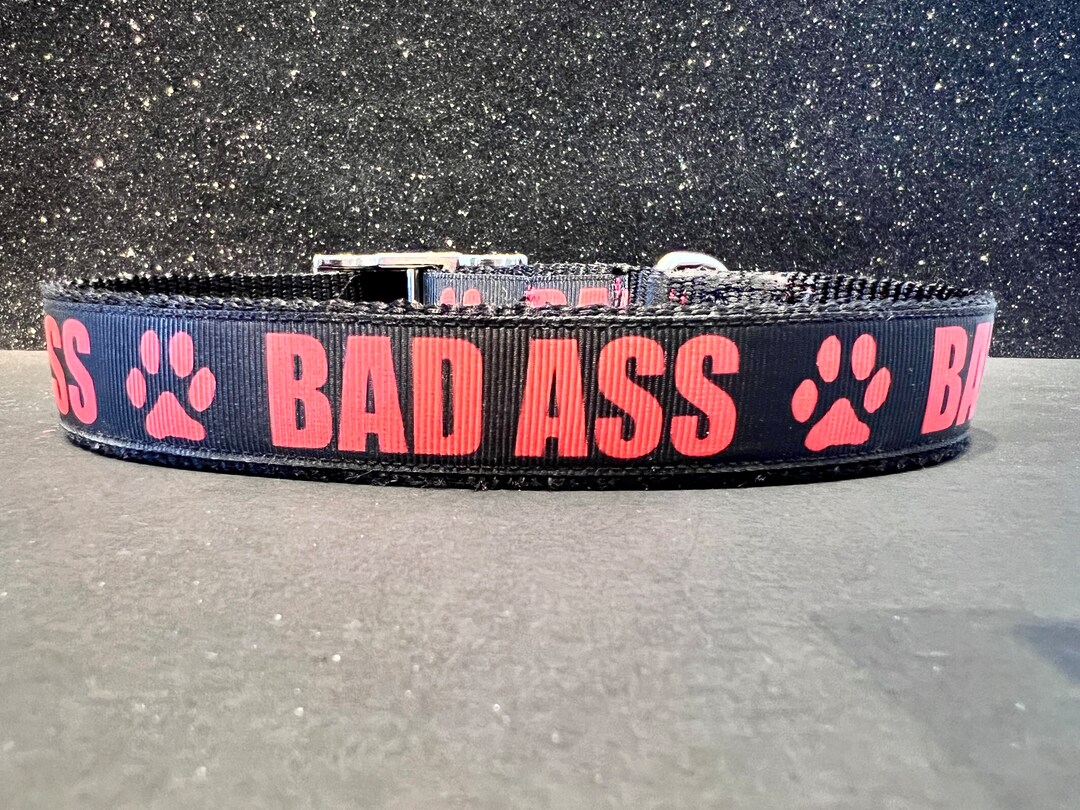 Bad Ass Cat Breakaway Collar, Bad Ass Dog Collar, WOOF BELLS, Bad Ass ...