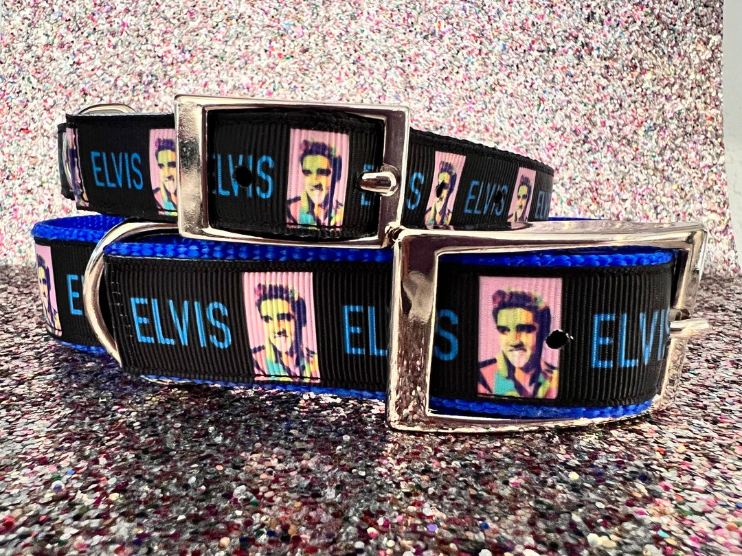 Elvis Presley Pet Collar: King of Rock and Roll, Breakaway Cat Collar ...