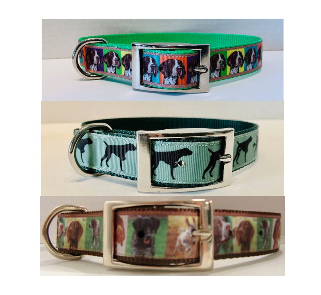 German Shorthaired Pointer Dog Collar, GSP Dog Collar, German ...