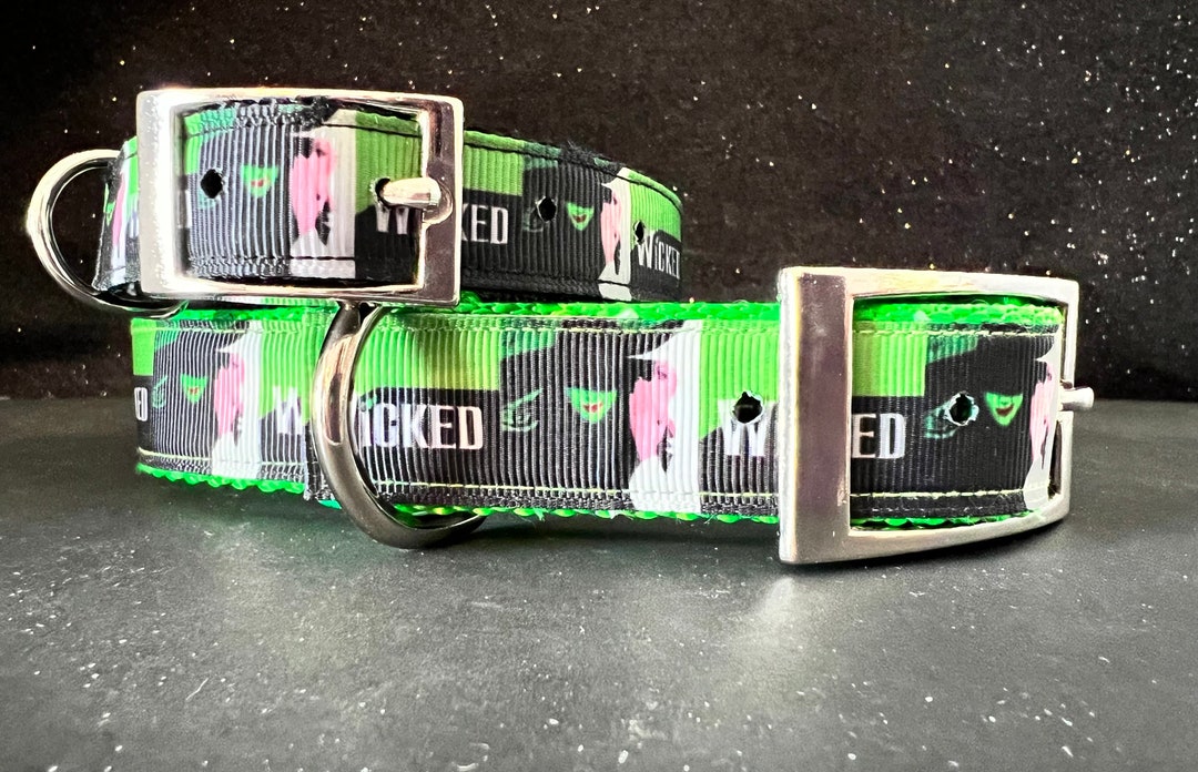 WICKED Dog Collar, Wicked Inspired Dog Collar, - Etsy