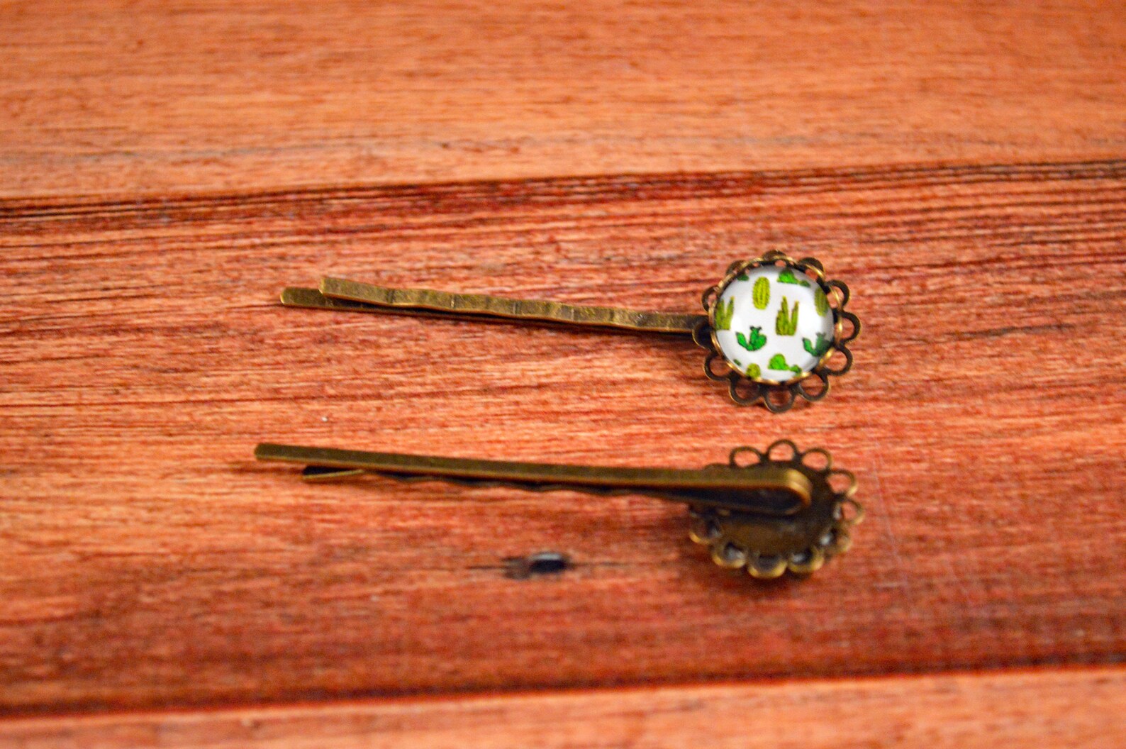 Serape Bobby Pins, Succulent Gifts, Succulent Pins, Cactus Pins, Cactus ...