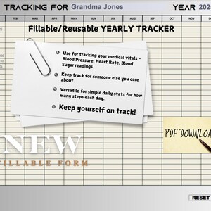 Year Tracker Template - PDF, Fillable, Reusable - Etsy