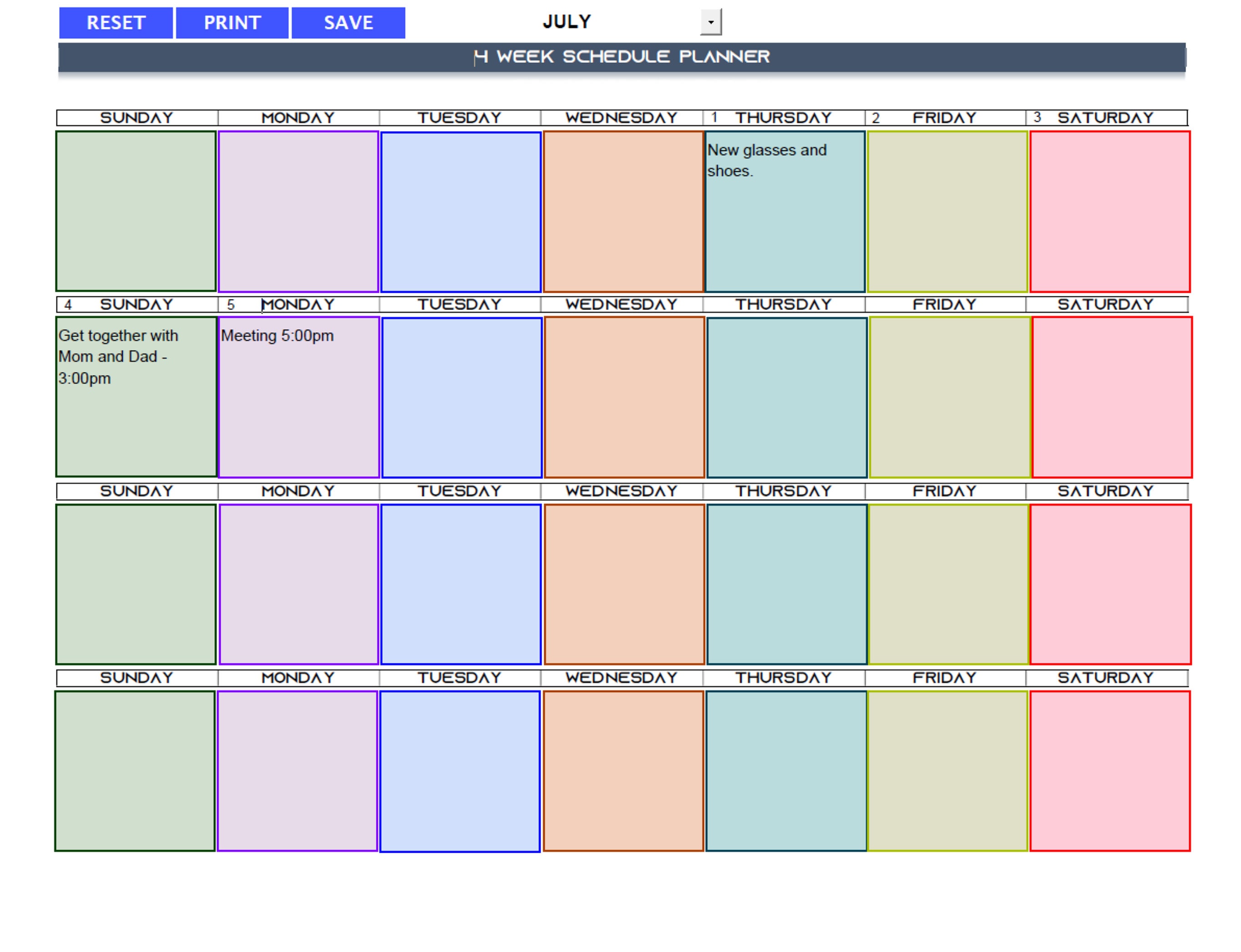 PDF Fillable 4 Week Planner - Etsy