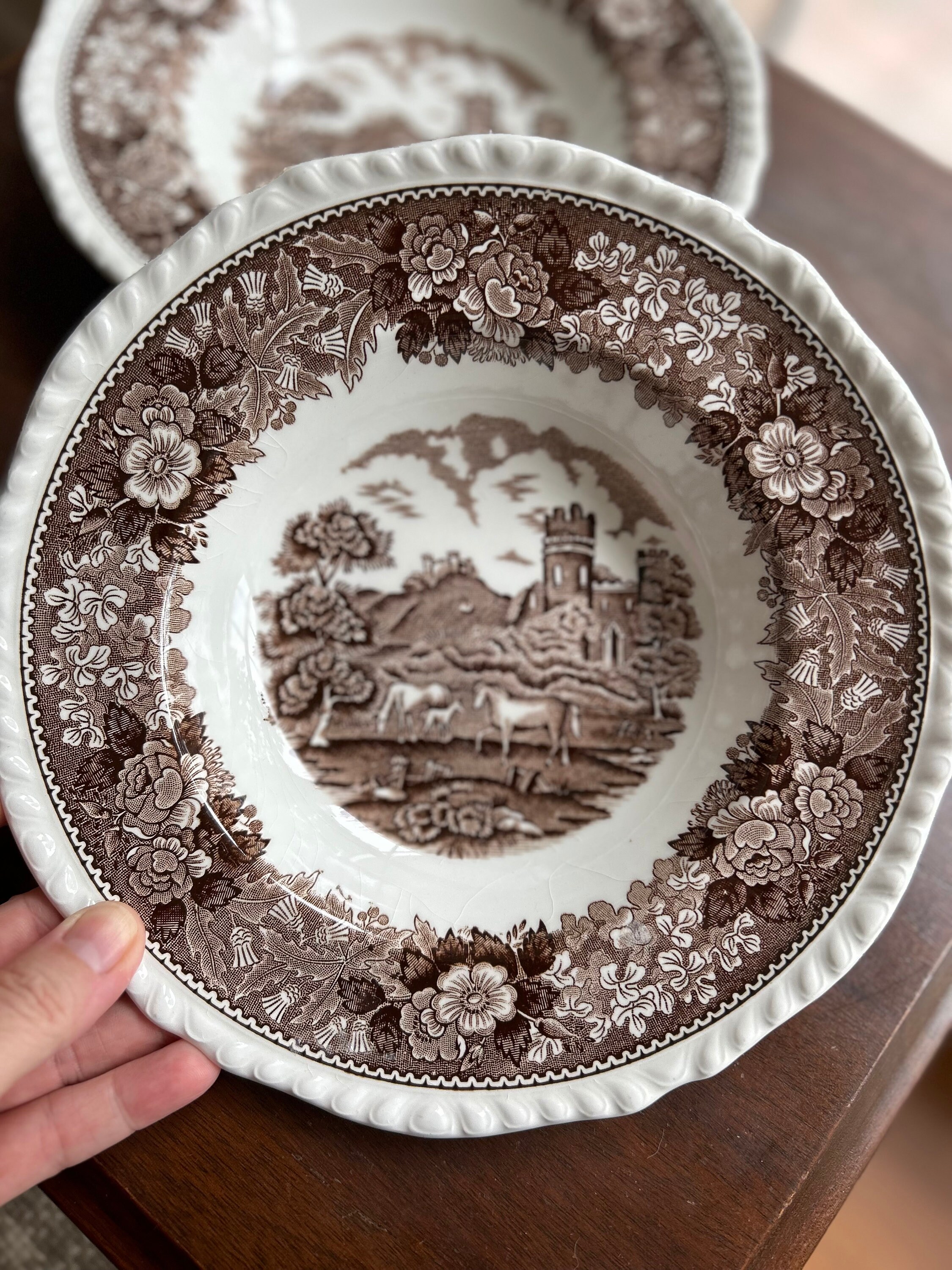 Pair of English Ironstone Farm Plates - Etsy