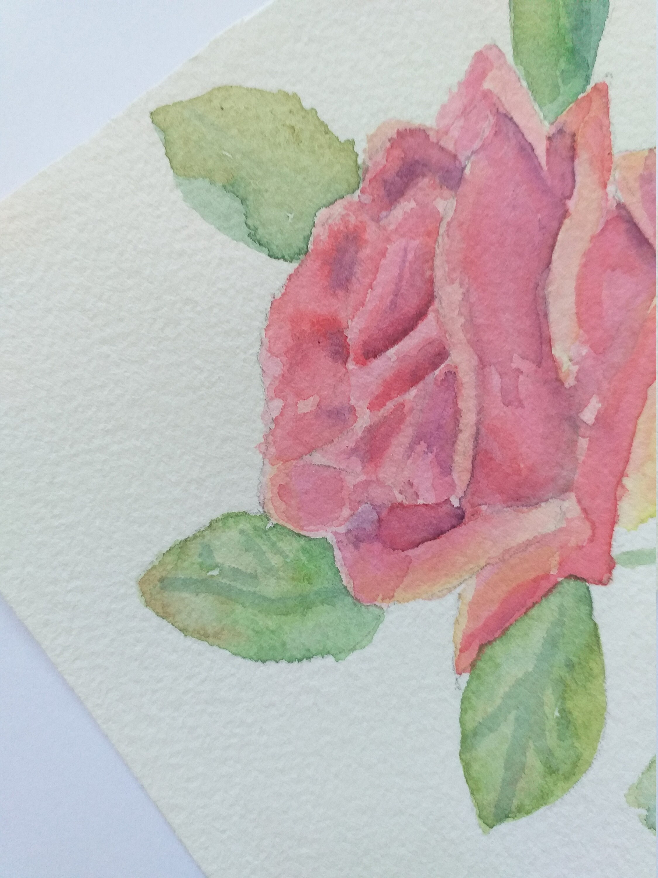 ORIGINAL Pink Roses Wall Art, Floral Artwork, Roses Fine Art, Pink ...