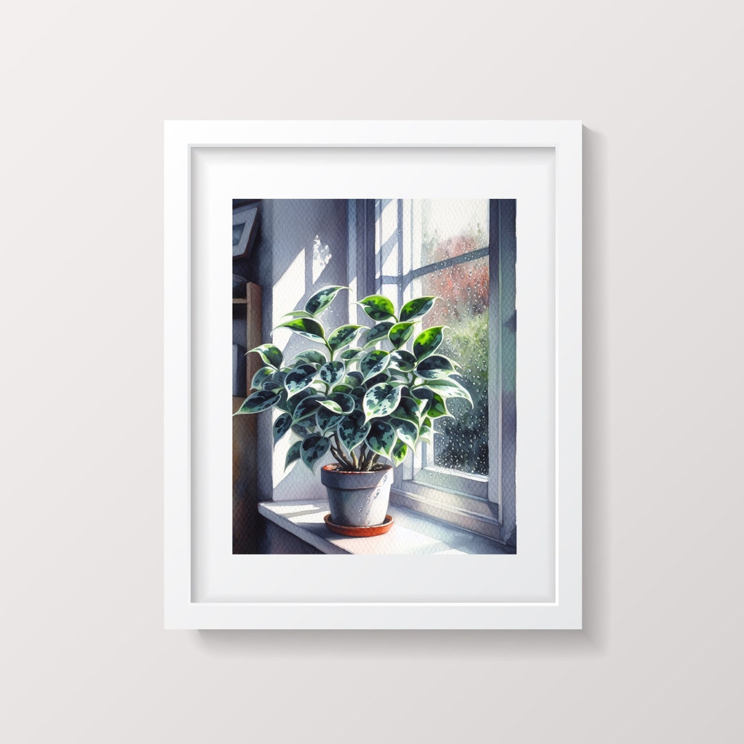Hoya Plant, Hoya in a Pot, Hoya Wall Art, Hoya Home Decor, Hoya Digital ...