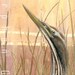 American Bittern Art | Bird Painting | Bird Artwork | Watercolor Bird ...