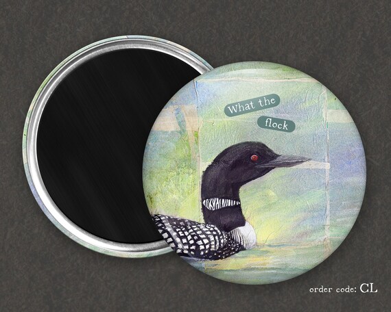 Loon Bird Funny Images