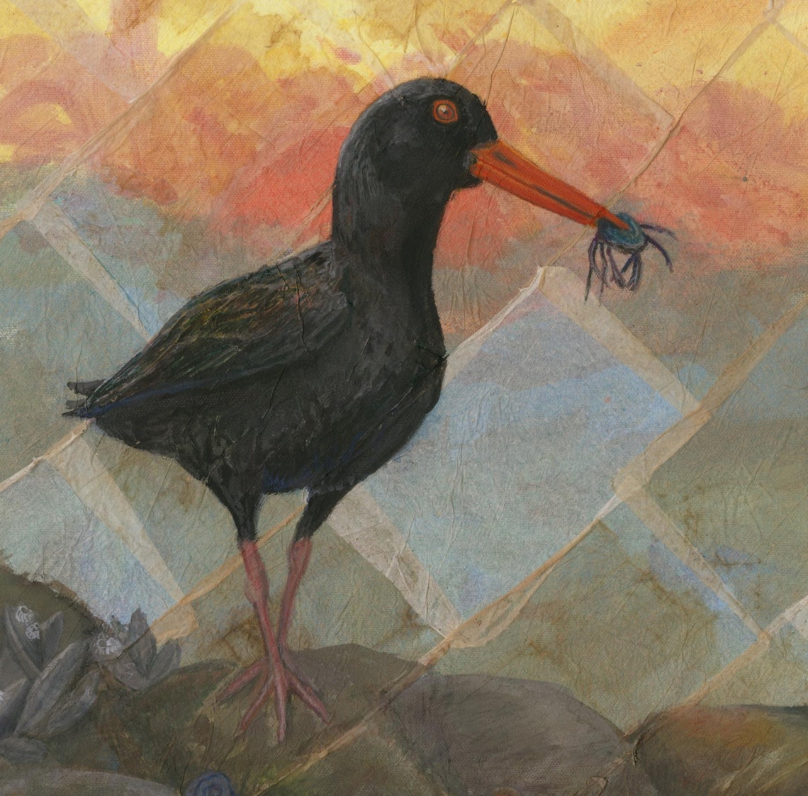 Black Oystercatcher E. Linton Water Bird Art Ocean Bird | Etsy