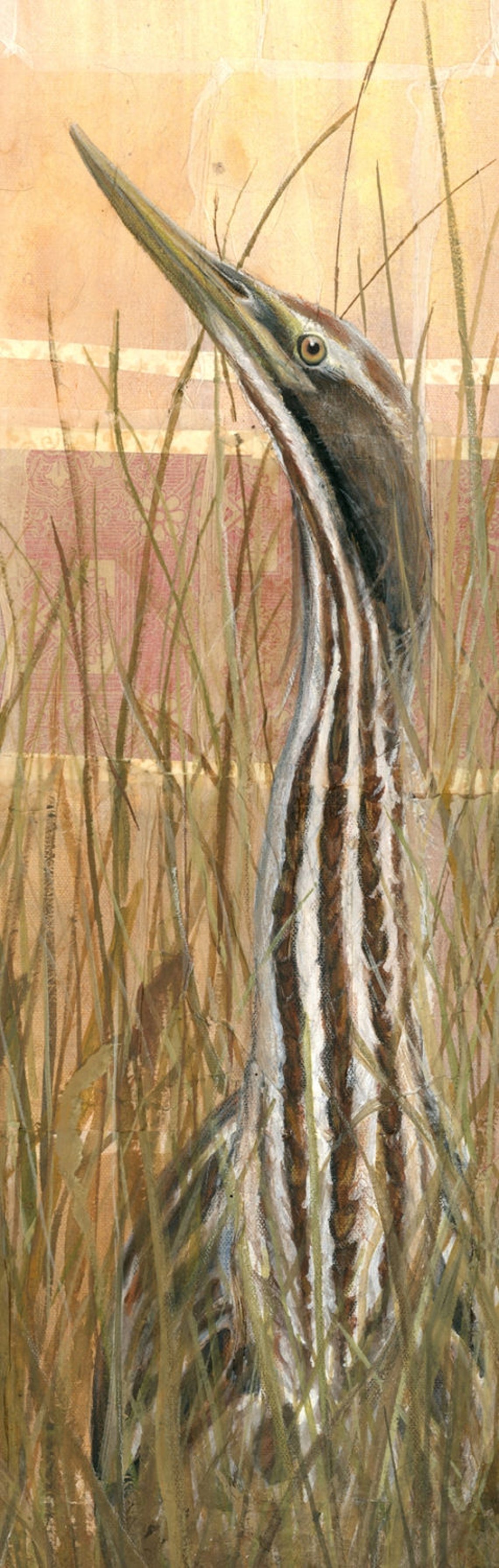 American Bittern Art Bird Painting Bird Artwork - Etsy