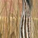 American Bittern Art | Bird Painting | Bird Artwork | Watercolor Bird ...