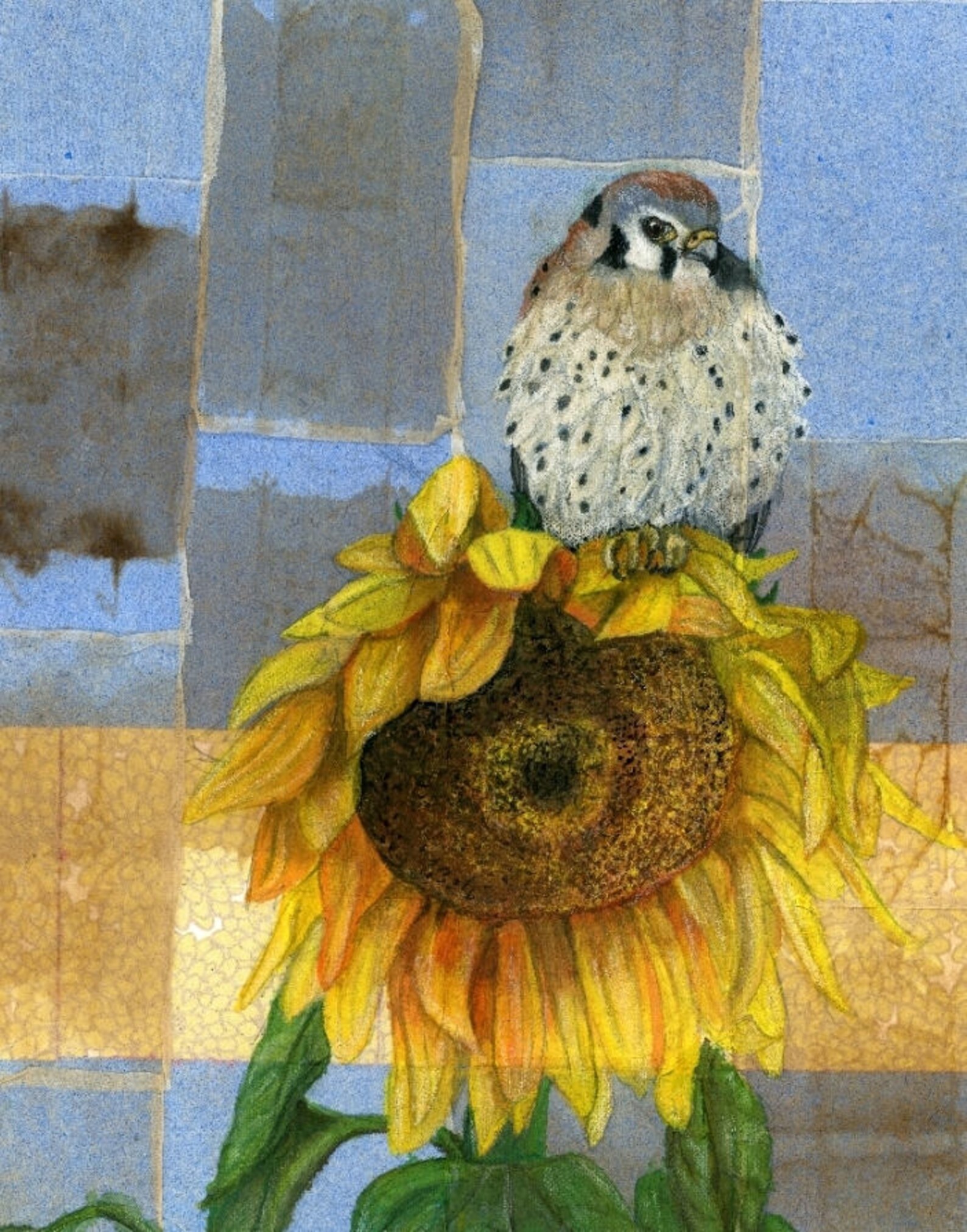American Kestrel Painting | Kestrel Wall Art | Bird Art Print ...