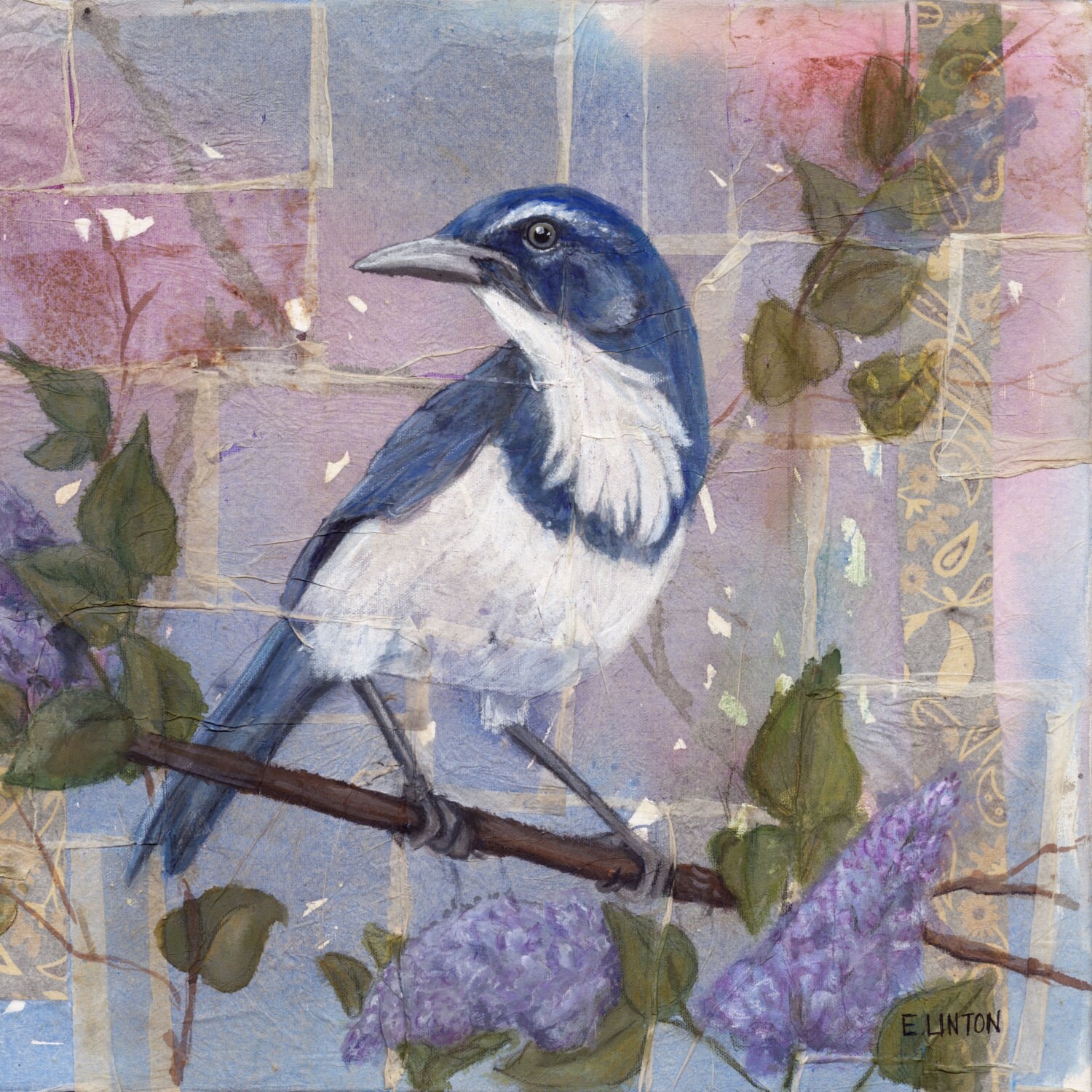 California Scrub Jay Painting Bird Art Print Jay Artwork - Etsy