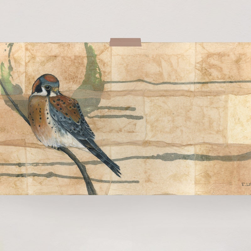 Kestrel Print - Etsy