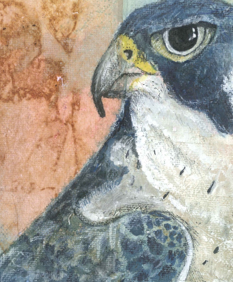 Peregrine Falcon Painting | Falcon Art | Bird Painting | Bird Art Print ...