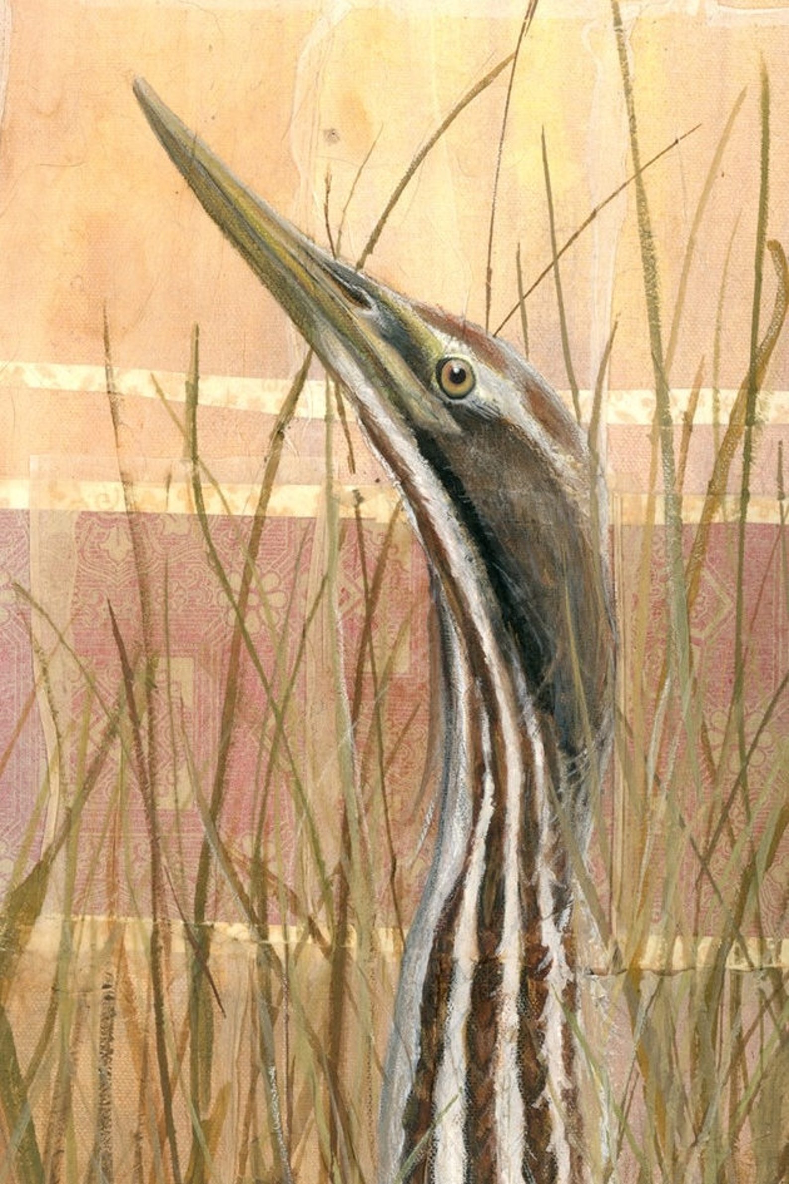 American Bittern Art Bird Painting Bird Artwork | Etsy