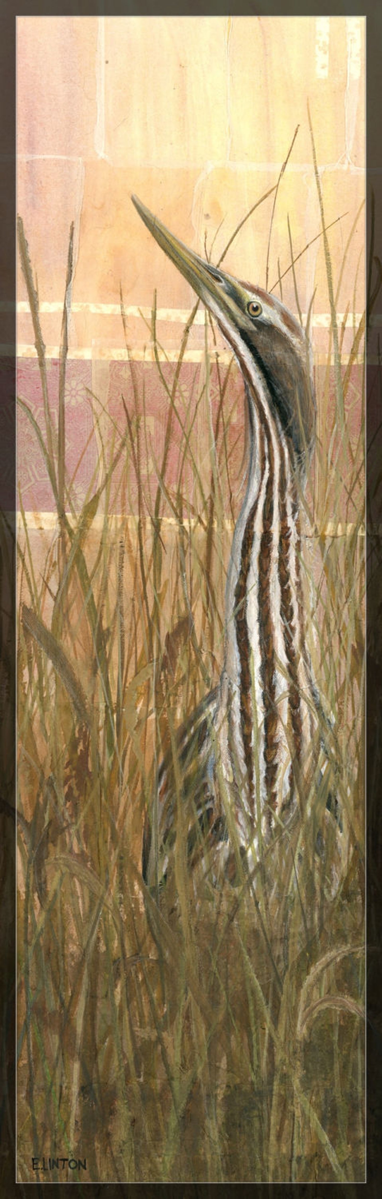 American Bittern Art Bird Painting Bird Artwork | Etsy