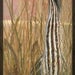 American Bittern Art | Bird Painting | Bird Artwork | Watercolor Bird ...
