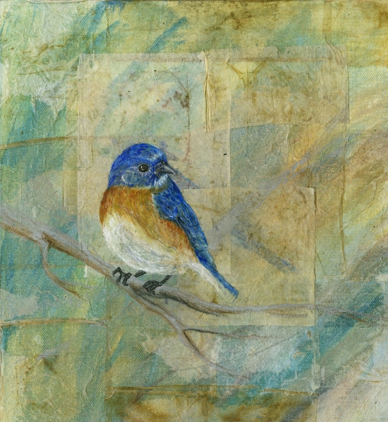 Eastern Bluebird Painting | Bluebird Art | Animal Art Print | Bird ...