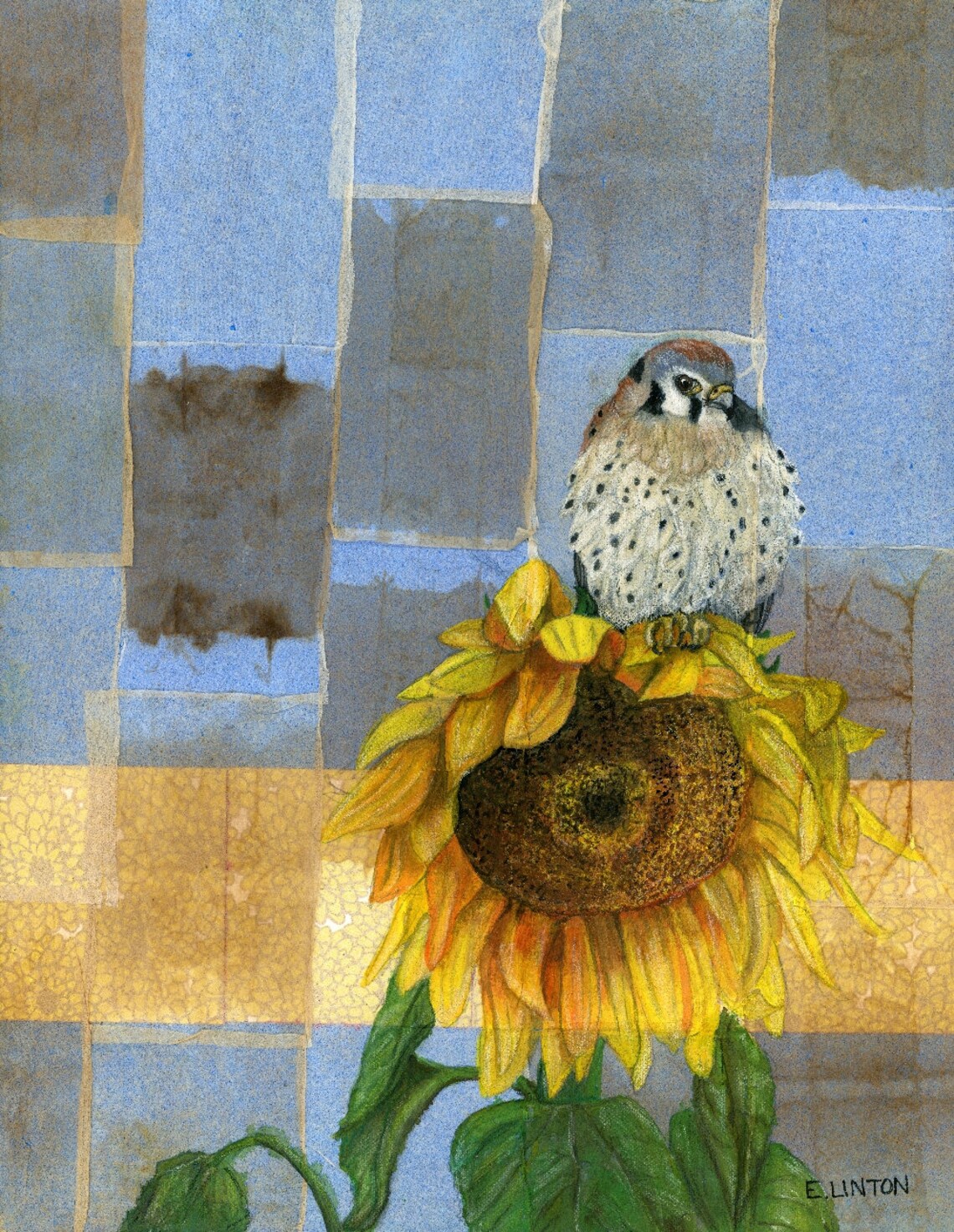 American Kestrel Painting | Kestrel Wall Art | Bird Art Print ...