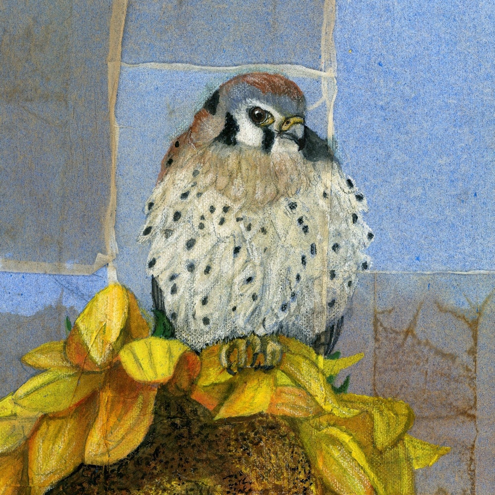 American Kestrel Painting | Kestrel Wall Art | Bird Art Print ...